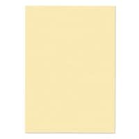 Shop Premium Business Blake Paper Vellum Laid A4 297X210 120GSM - Box ...
