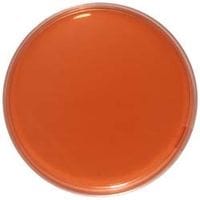 Shop EO Labs E&O Labs MacConkey Agar Plated Media - 10 x 90mm Plates ...