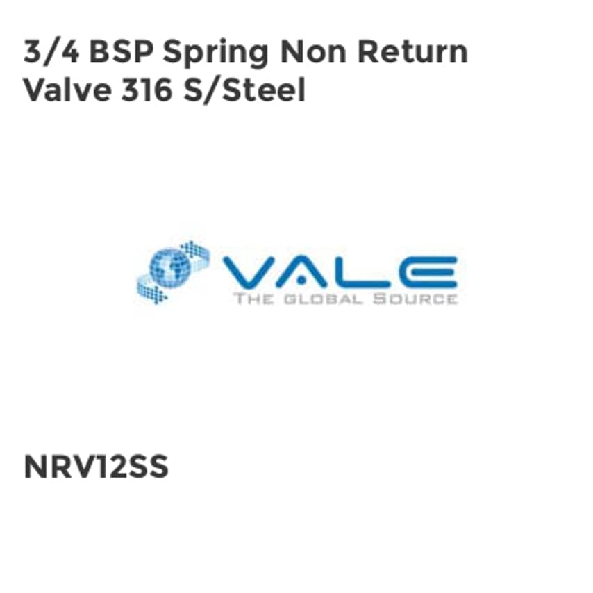 Shop Vale Spring Non Return Valve 316 Stainless Steel (BSP) - Check ...