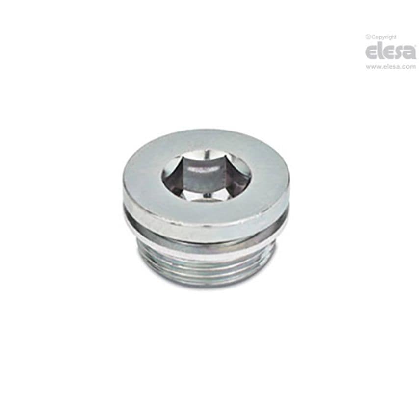 Shop ELESA Blanking plug-DIN 908-ST-M16X1.5-AA - Plugs & Caps | Zoro UK ...