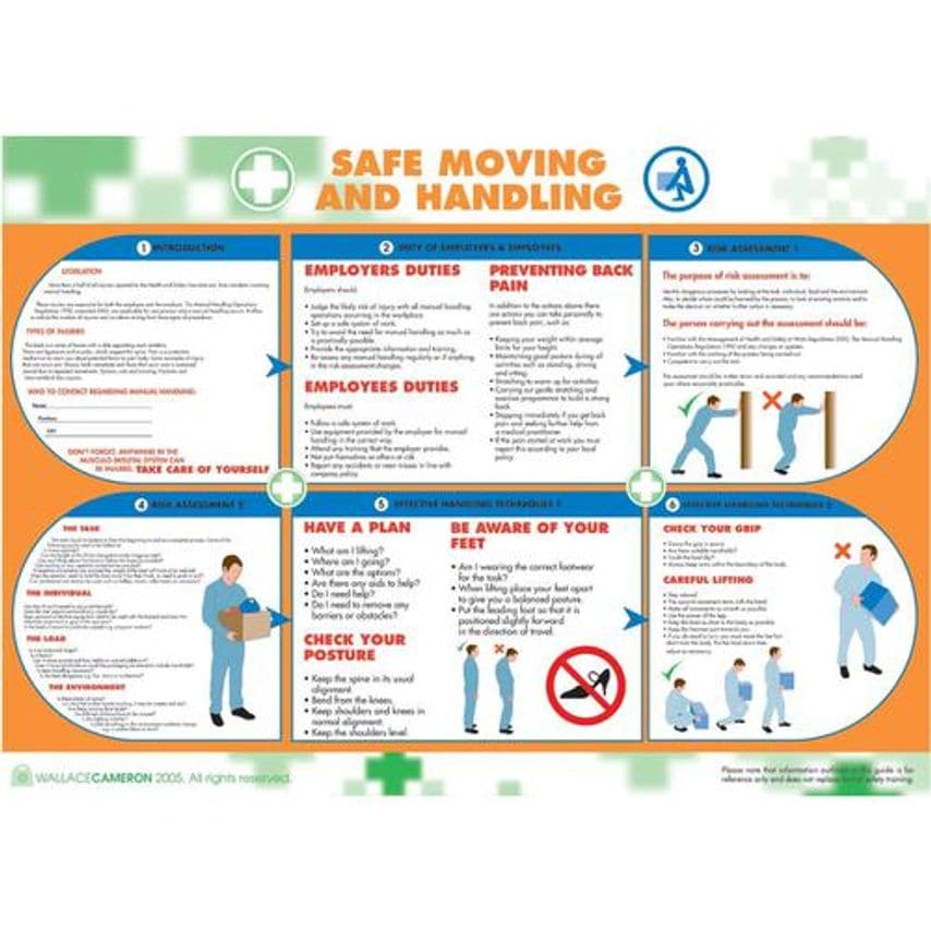 Shop Wallace Cameron Manual Handling Poster Laminated Wall-mountable ...