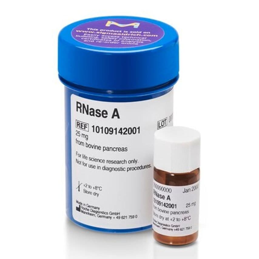 Shop Merck Roche RNase A - 10109169001 - Laboratory Supplies - Various ...